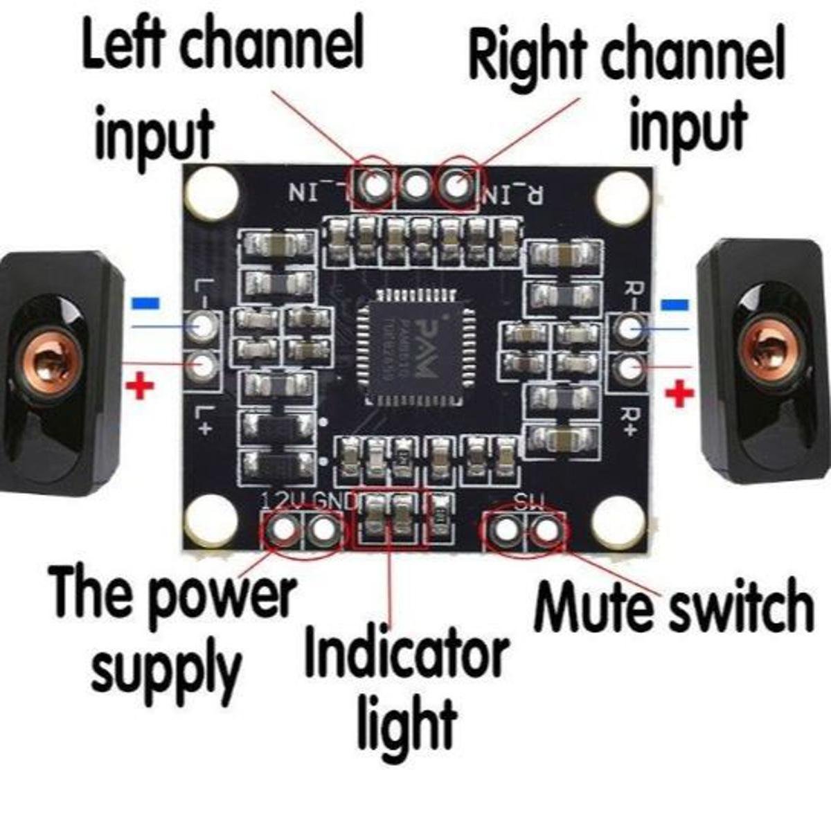 PAM8610 Dual Channel Amplifier 12v Digital Amplifier in Pakistan